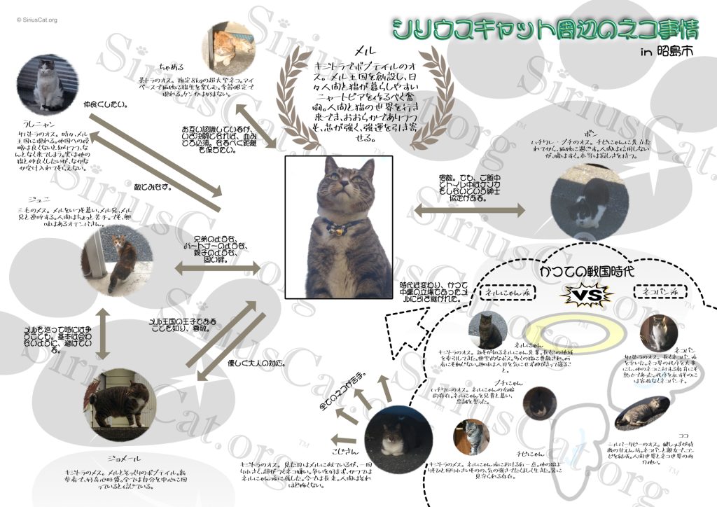キャットメンバー - 【公式】SiriusCat.org - シリウスキャット.org
